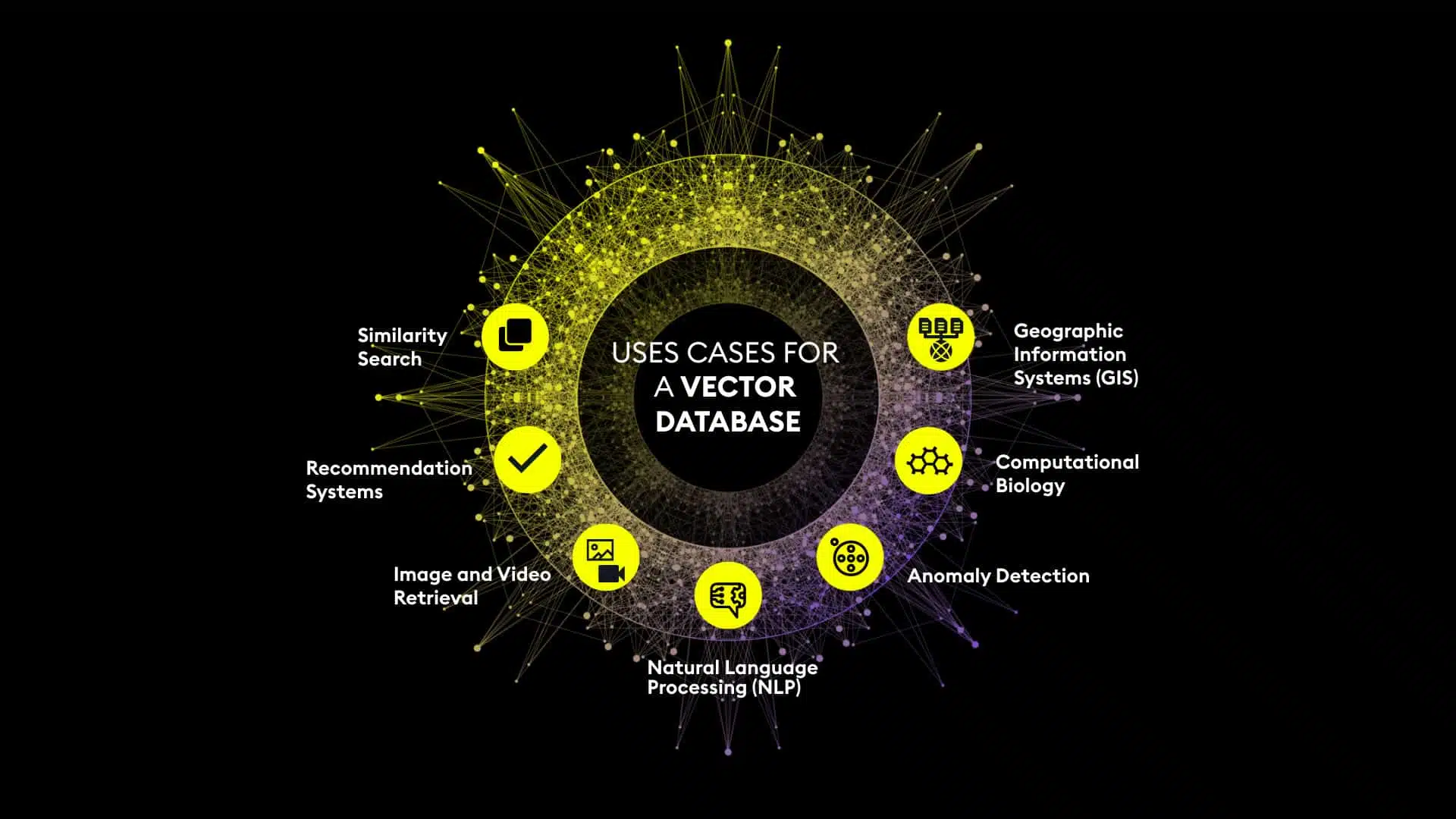 Top 10 Vector Database Use Cases in 2023 | QSOL IT